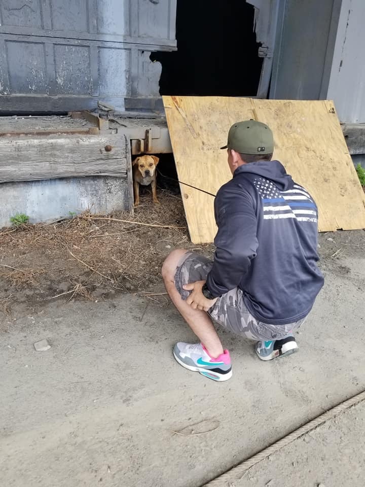 About ~ Detroit Pit Crew