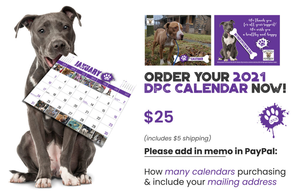 Shop ~ Detroit Pit Crew